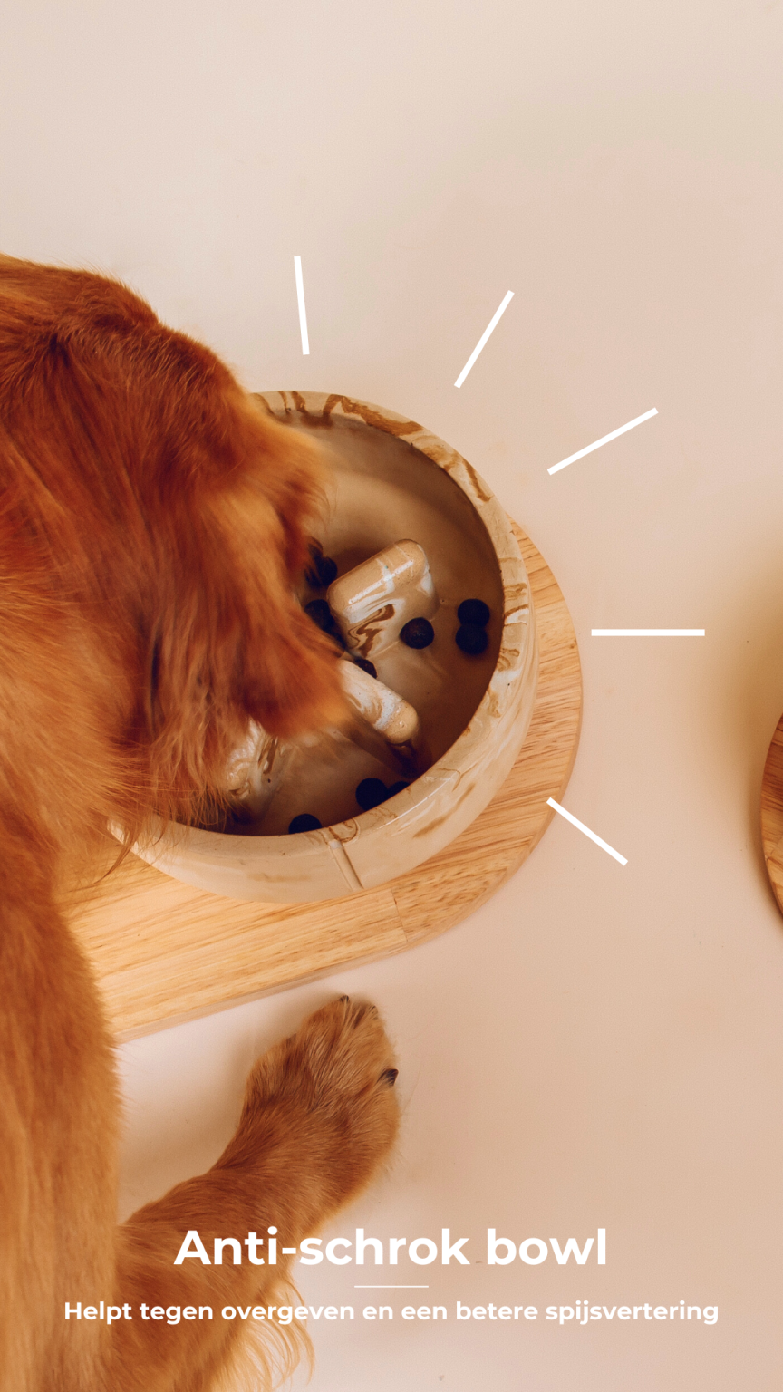 BAASJE | DIERENOPPAS & BOETIEK | dierenoppas & webshop